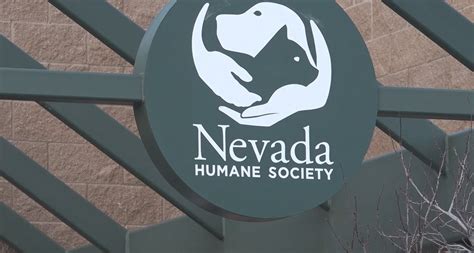 Nevada Humane Society Ceo Resigns Following Allegations Of Improper