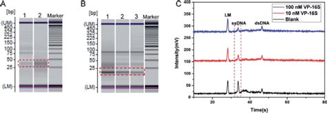 Evaluating The Feasibility Of The Ta Crispr Cas12a Strategy For Dna
