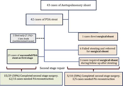 Distribution Of 43 Cases Who Had Successful Pda Stent Or Failed Stent Download Scientific