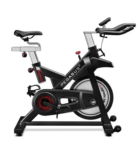 Pegasus® Magnetic Spin Bike Aero