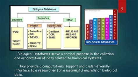 Primary And Secondary Databases Ppt By Puneet Kulyana