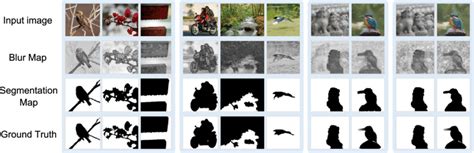some exemplar blur maps and segmentation maps by the proposed method in