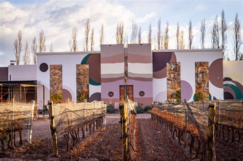Vinos Bajo Alcohol Bodega Mauricio Lorca Suma Una Propuesta Que Rompe
