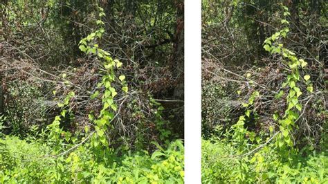 Camera Shutter Count Signs Your Camera Is Near Its End