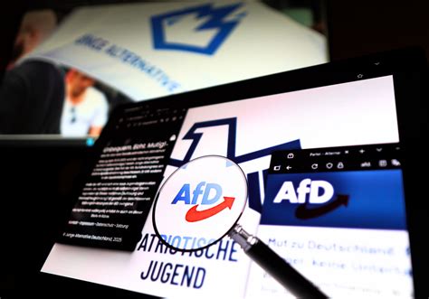 Kaderschmiede Im Graubereich Die Afd Gründet Ihre Jugend Neu Perspektive