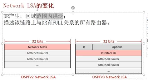 ospfv3的lsa类型抓包详解 csdn博客