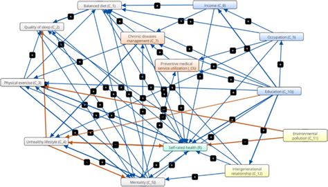 Graph Based Causal Relationships Between Factors Influencing Health Of Download Scientific