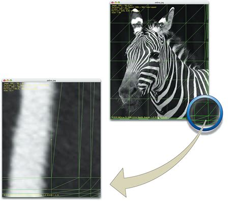 Best Practices For Working With Texture Data