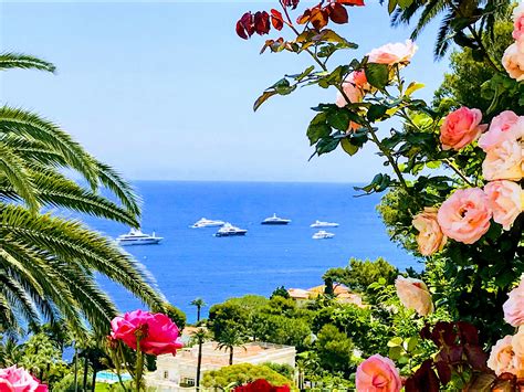 Aktiviteter I Saint Jean Cap Ferrat Book Dine Oplevelser På Expedia Dk