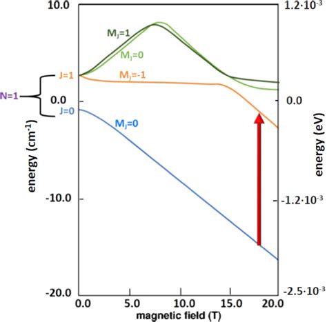 Illustration Of The Zeeman Effect For The N 1 Rotational Levels In Download Scientific
