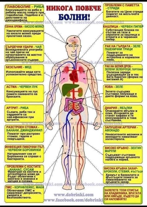 Dr ИНФОРМИРАНИЯТ ЧОВЕК Е ЗДРАВ ЧОВЕК💪🍀 СЪВЕТИТЕ НА ПРОФЕСОР МЕРМЕРСКИ ЗА ЗДРАВЕ И КРАСОТА ОТ
