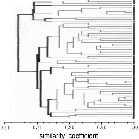 Dendrogram From Eric Pcr Analysis In Esbls Producing E Coli Isolates