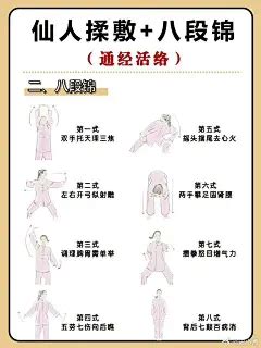 仙人揉敷衍 八段锦通经活络 4 花瓣网