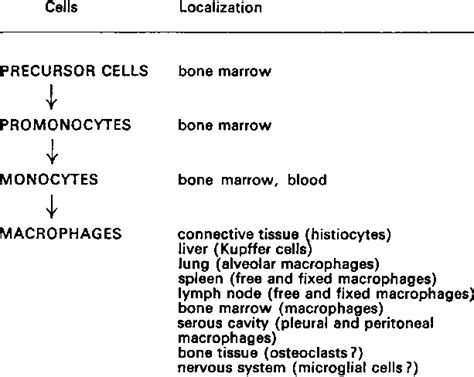 The Mononuclear Phagocyte System Download Table
