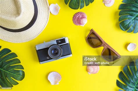 모자 사진 카메라 선글라스 조개와 열 대 야자수 나무 잎 노란색에 절연의 플랫 하다 개념에 대한 스톡 사진 및 기타 이미지 개념 개념 실재론 개인 장식품 Istock