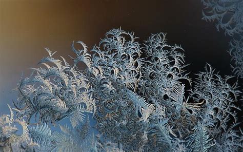 Premium Photo Frost Patterns On Window Glass Abstract Background