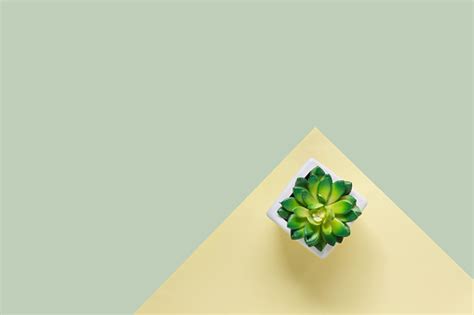 최소한의 배경 개념의 테이블 상단 보기 공중 이미지 홈 오피스 데스크에서 현대 소박한 노란색 및 녹색 종이에 냄비에 납작하게 누워 나무 파스텔 톤 듀오 배경 막입니다 크리