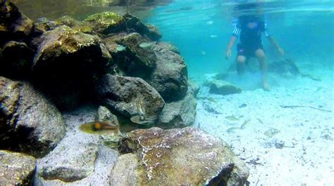 ป่าต้นน้ำบ้านน้ำราด บ่อน้ำผุดใสที่สุดในประเทศไทย สิ่งมหัศจรรย์จากธรรมชาติ จ สุราษฏร์ธานี