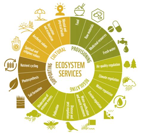 Reconciling Biodiversity Conservation With Ecosystem Services To Save