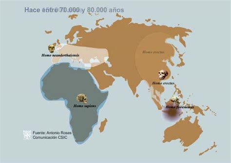 Los Neandertales Fabricaban Herramientas Que Se Usan Hoy Rtve