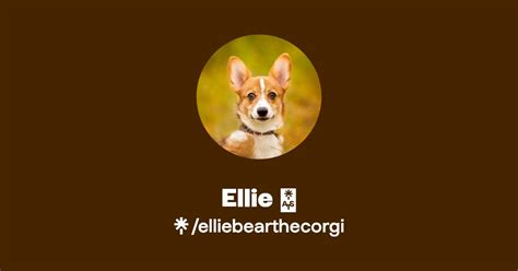 Ellie 🧸 Tiktok Linktree