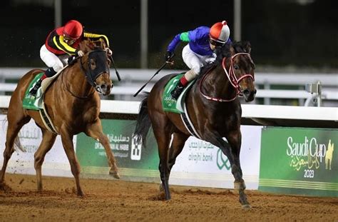 最新世界ランキングサウジC制覇のパンサラッサは6位タイ JRA VAN World 海外競馬情報サイト