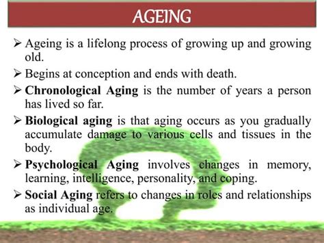 Theories Of Aging Programmed And Error Theories Ppt