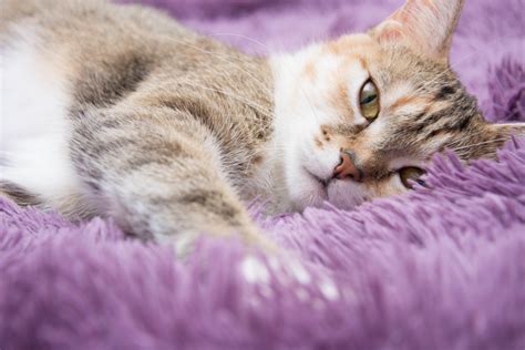 Работа с файлами в Python читаем изменяем пишем в разные форматы — Teletype