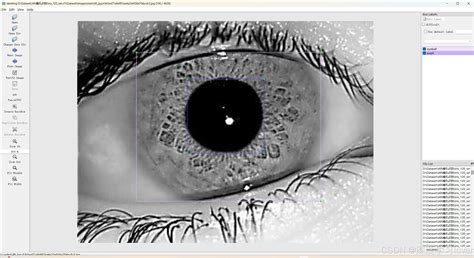 ＜数据集＞瞳孔识别数据集＜目标检测＞瞳孔数据集 Csdn博客