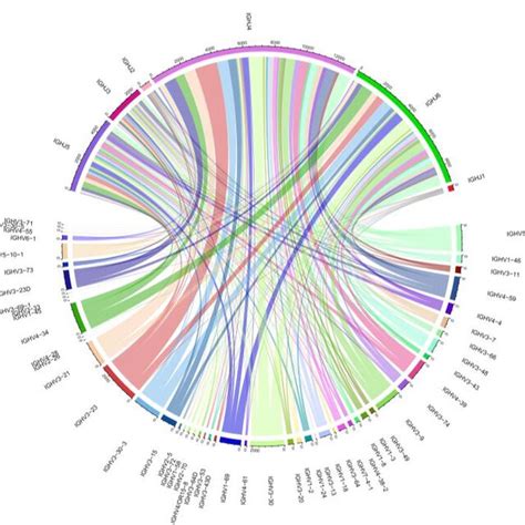 Figure S5 Chord Diagram Representing V J Segment Usage At 2 Weeks In