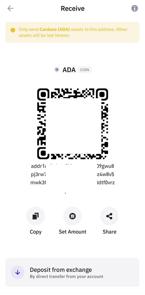 Trust Wallet For Beginners Adapulse