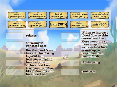 Gcse Wjec Biology Skin Temperature Regulation Match Up