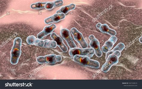 360 Clostridium Difficile 이미지 스톡 사진 및 벡터 Shutterstock