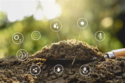 Oxygen Measurement In Aerobic Composting