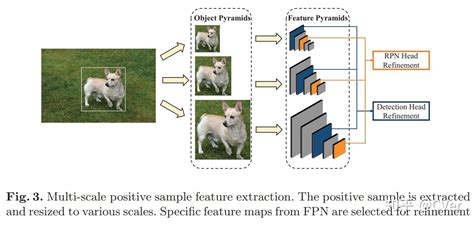 Eccv 2020 北航提出mpsr:用于few Shot目标检测的多尺度正样本优化 知乎 Eccv 2020 北航提出mpsr:用于few Shot目标检测的多尺度正样本优化 知乎