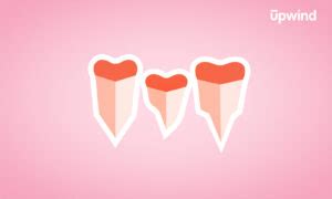 What Is The National Vulnerability Database NVD