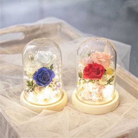 친구와 함께하는 취미 클래스 프리저브드 장미 유리돔🌸 프리저브드플라워 기초자격증반 모집 블로그 공지 참고해주세요 Kakao Theplanterior 0507