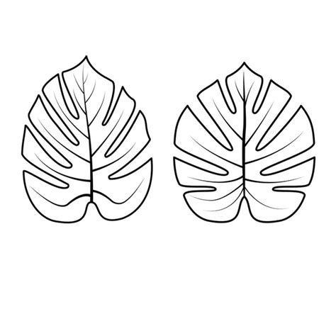 Tropical Leaf Outline