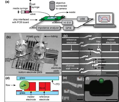 A Overview Of The Experimental Setup The Microfluidic Device Is Download Scientific Diagram