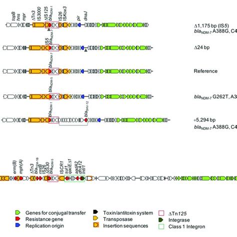 Antimicrobial Activity Of Meropenem And 5 Broad Spectrum Comparator
