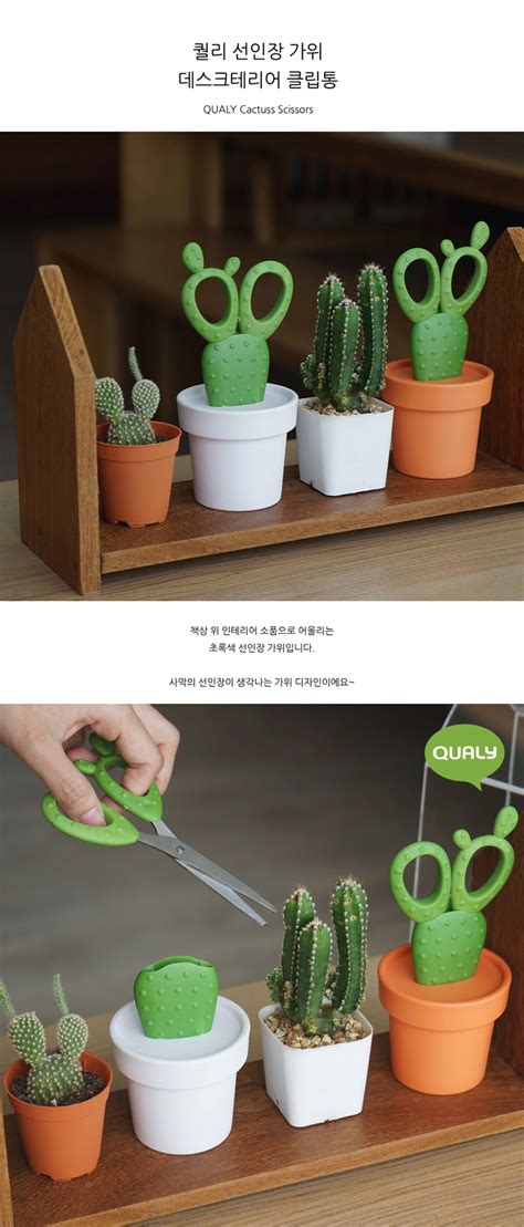 선인장 가위 오렌지 Eternal Journey