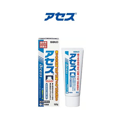 사토 아세스치약 160g 티몬