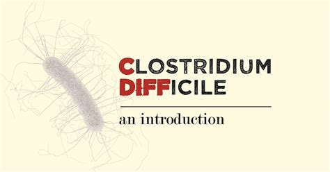 Clostridioides Difficile An Introduction