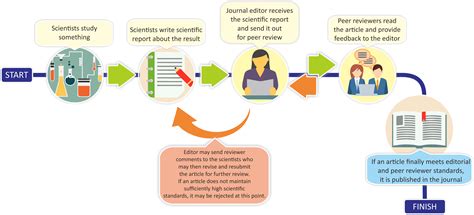 Peer Review Process