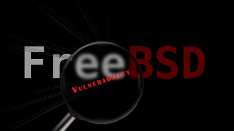 Kritična ping ranjivost u FreeBSD sistemima Sajber Info Security