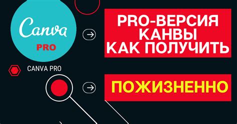Как получить Canva PRO (Канва ПРО) пожизненную лицензию? — Teletype