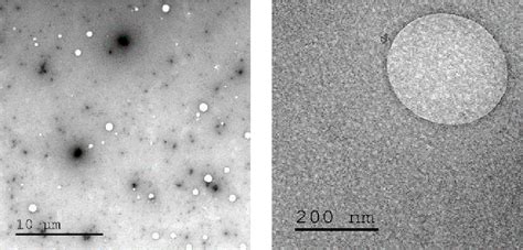 Figure 1 From Cyclopropenium Nanoparticles And Gene Transfection In Cells Semantic Scholar