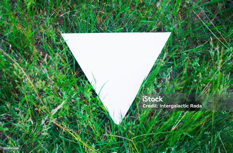 녹색 잔디 질감 배너 화장품 스파 향수 미용실 여행사 플로리스트 숍을 위한 이국적인 식물 디자인 웨딩 초대 카드로 가장 적합합니다 플랫 레이 공간을 복사합니다 삼각형 프레임