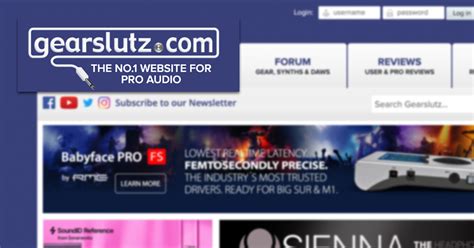 Language And The Gender Gap The Power Of Words Flypaper