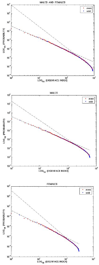 Log Log Plot Of The Spectrum Projection For Male Female And Merged Download Scientific Diagram